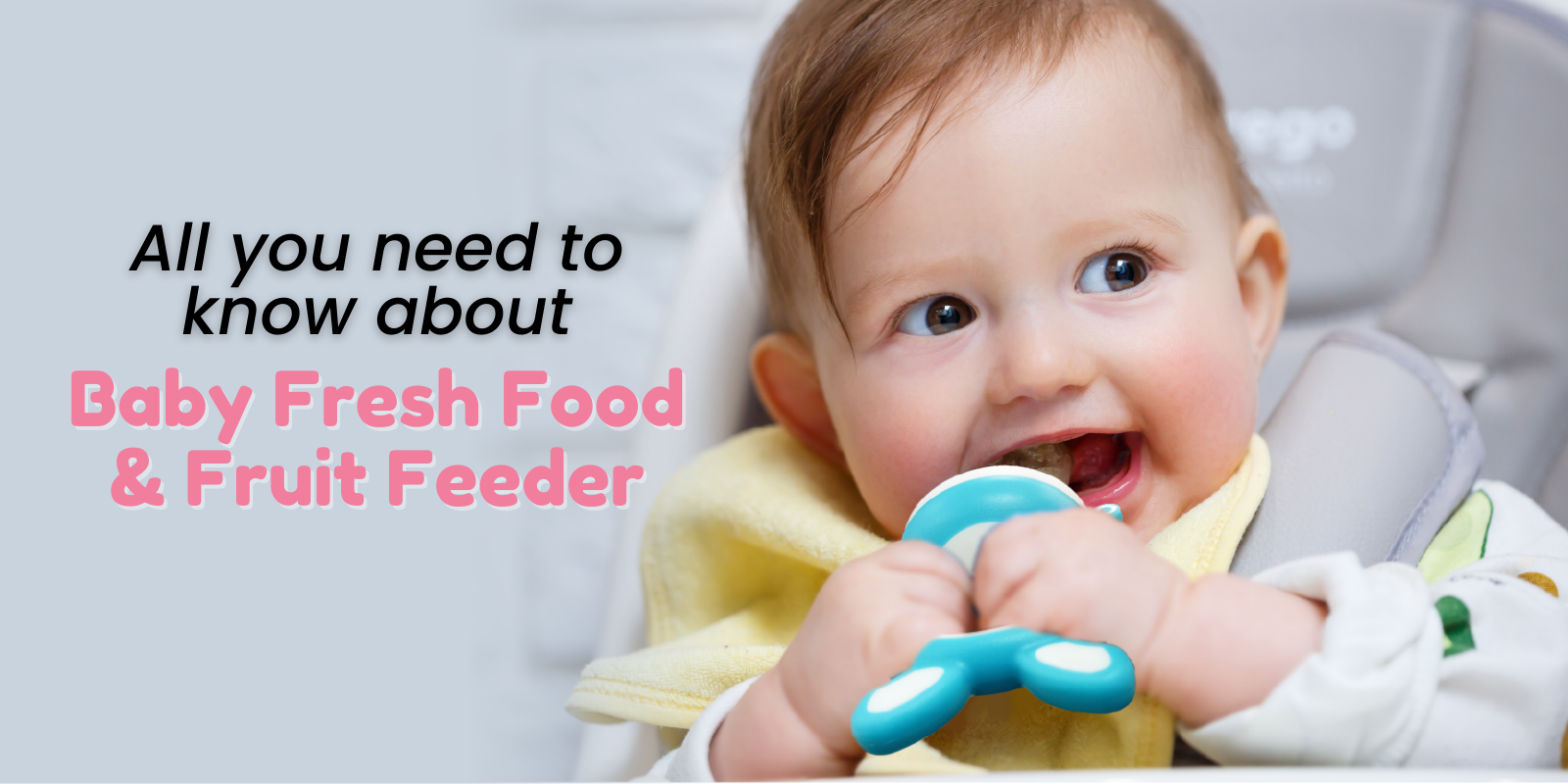 All You Need To Know About Baby Fresh Food & Fruit Feeders